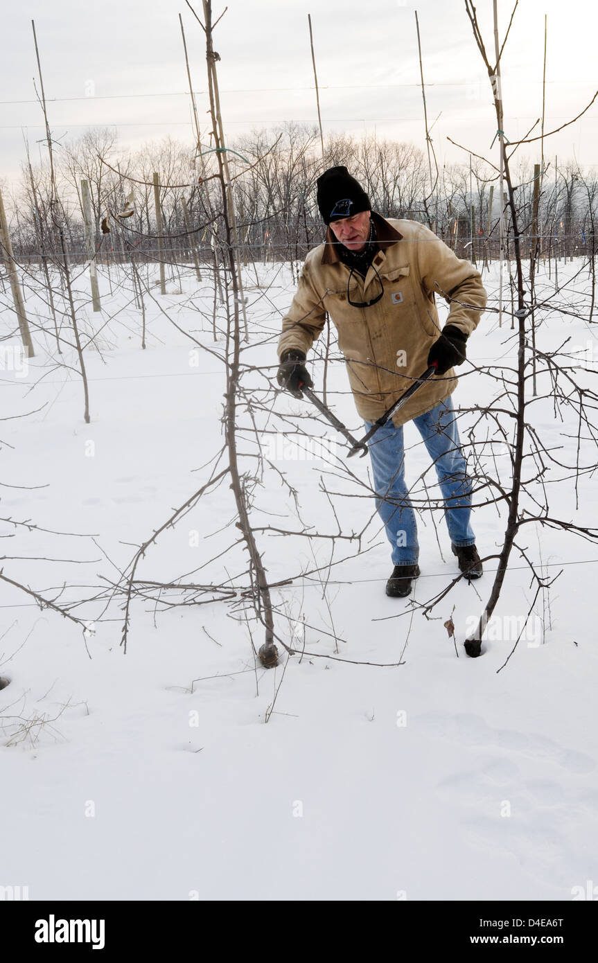 Winter management hi-res stock photography and images - Alamy