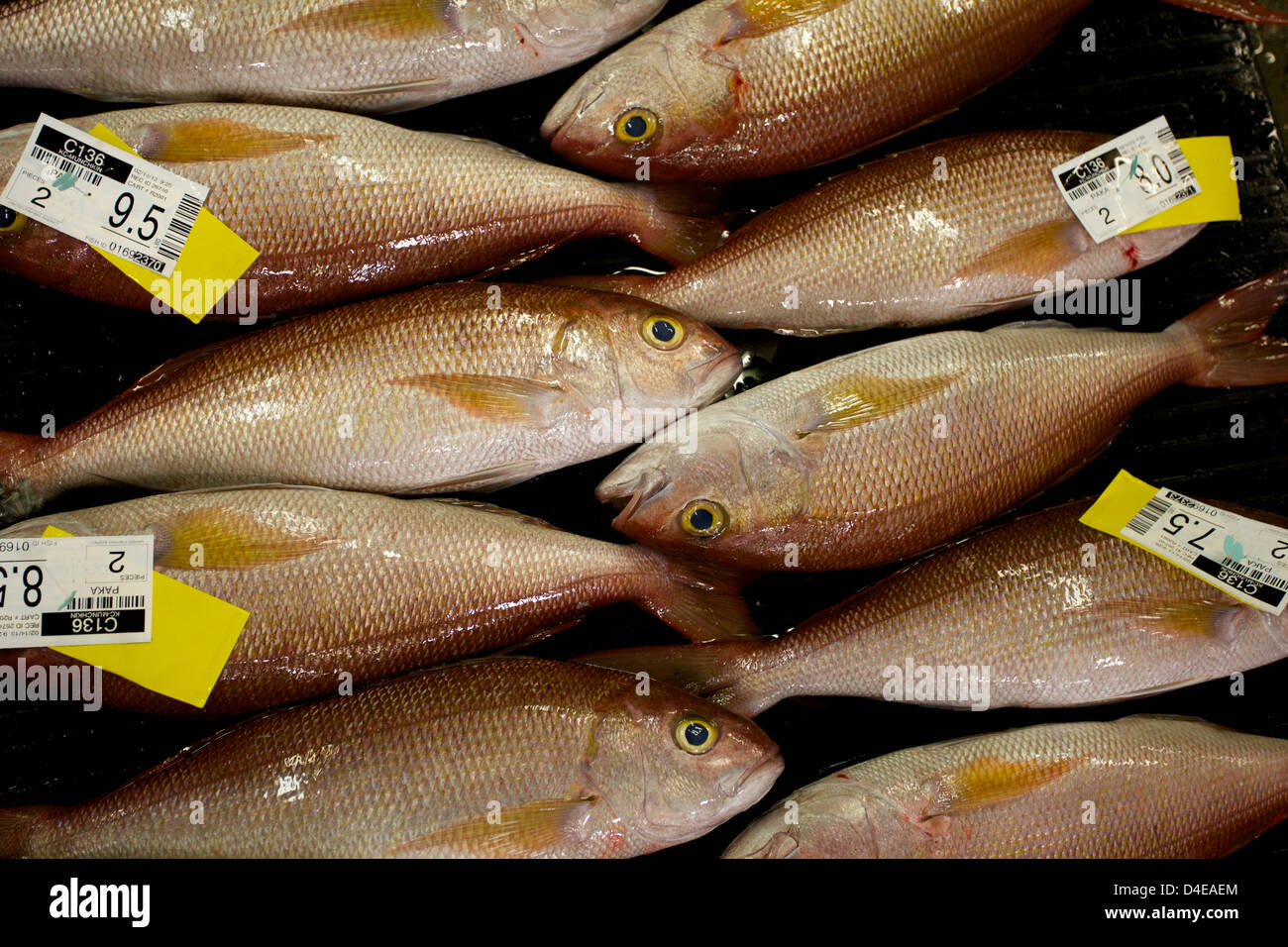The Honolulu Fish Auction and Market at Pier 38 Stock Photo - Alamy