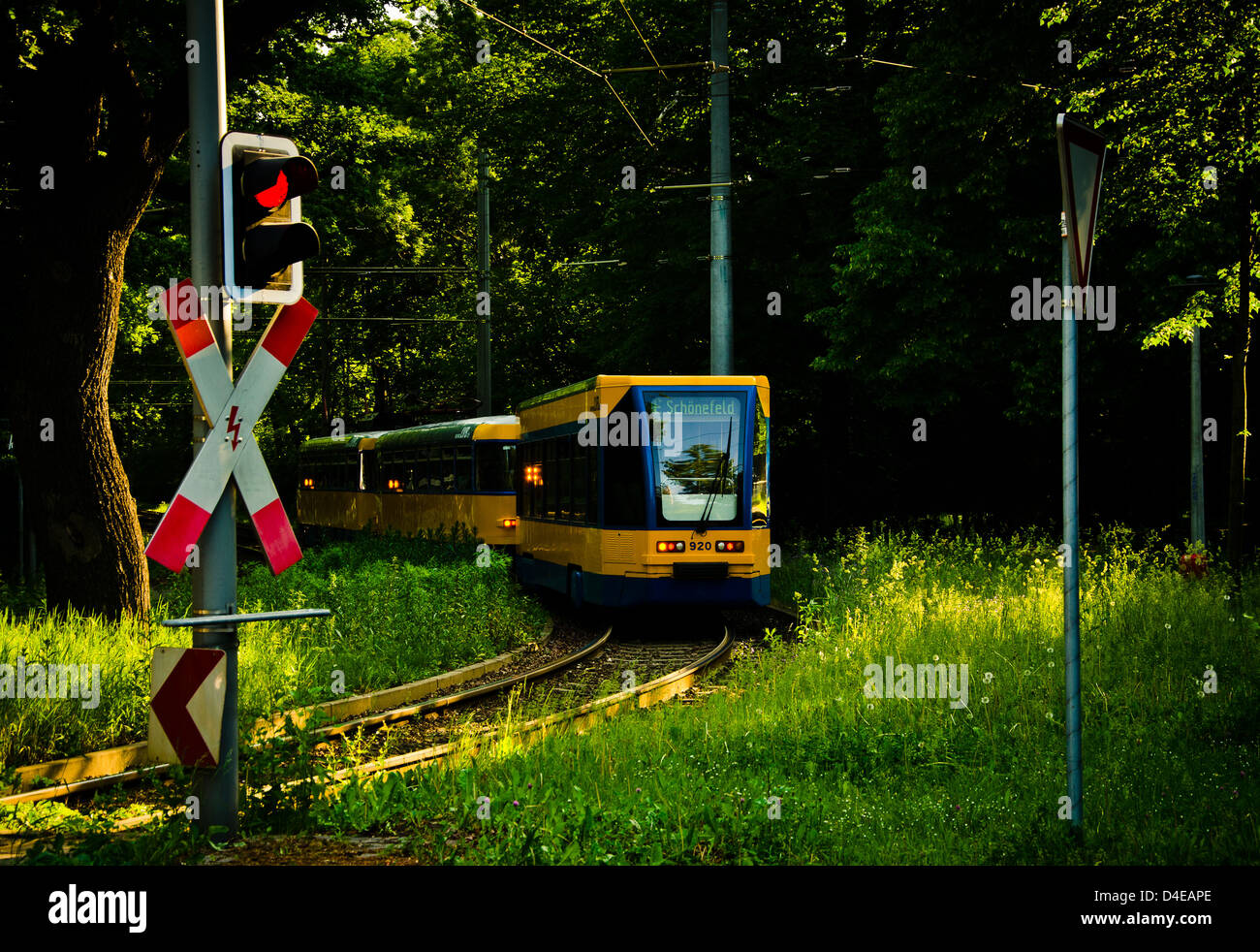 German tram emerging from wooded area Stock Photo - Alamy