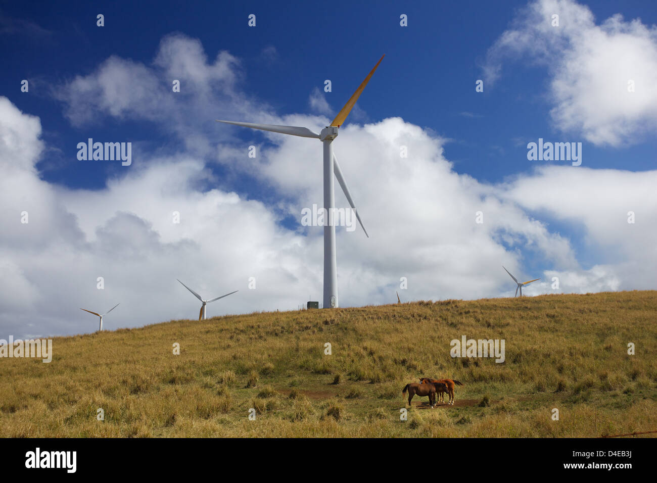 Hawaii Wind Farm Stock Photos & Hawaii Wind Farm Stock Images - Alamy