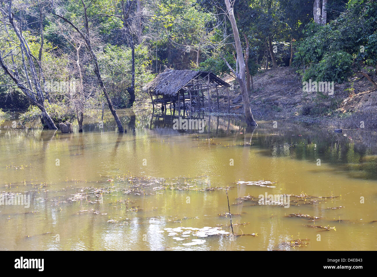 Wooden fisher hut at the bank of a river at Angkor Wat,Cambodia Stock ...