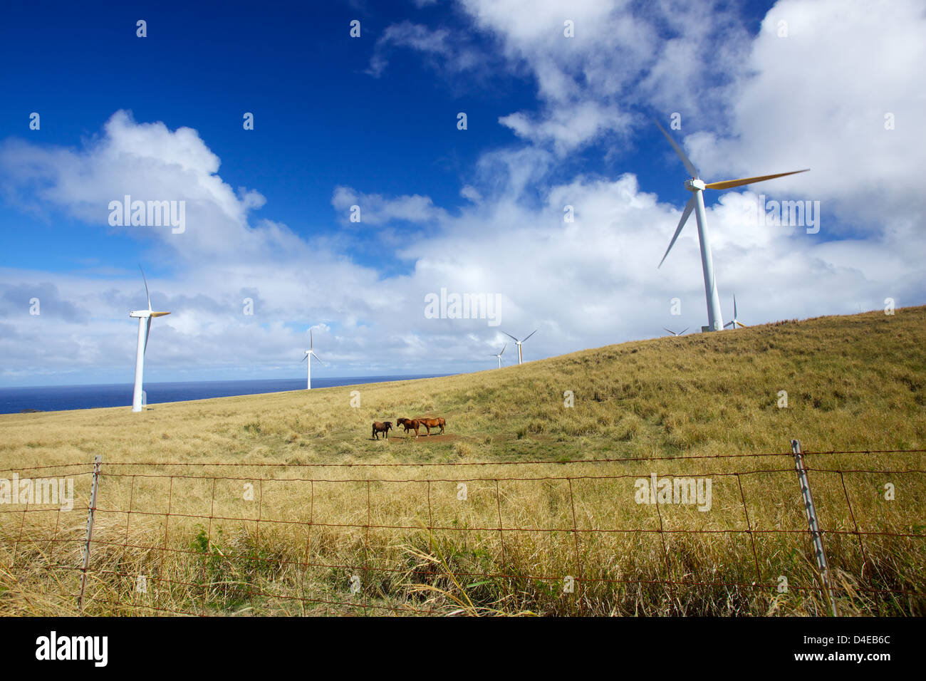 Hawaii Wind Farm - Wind Turbine Generators in the town of Hawi in the ...