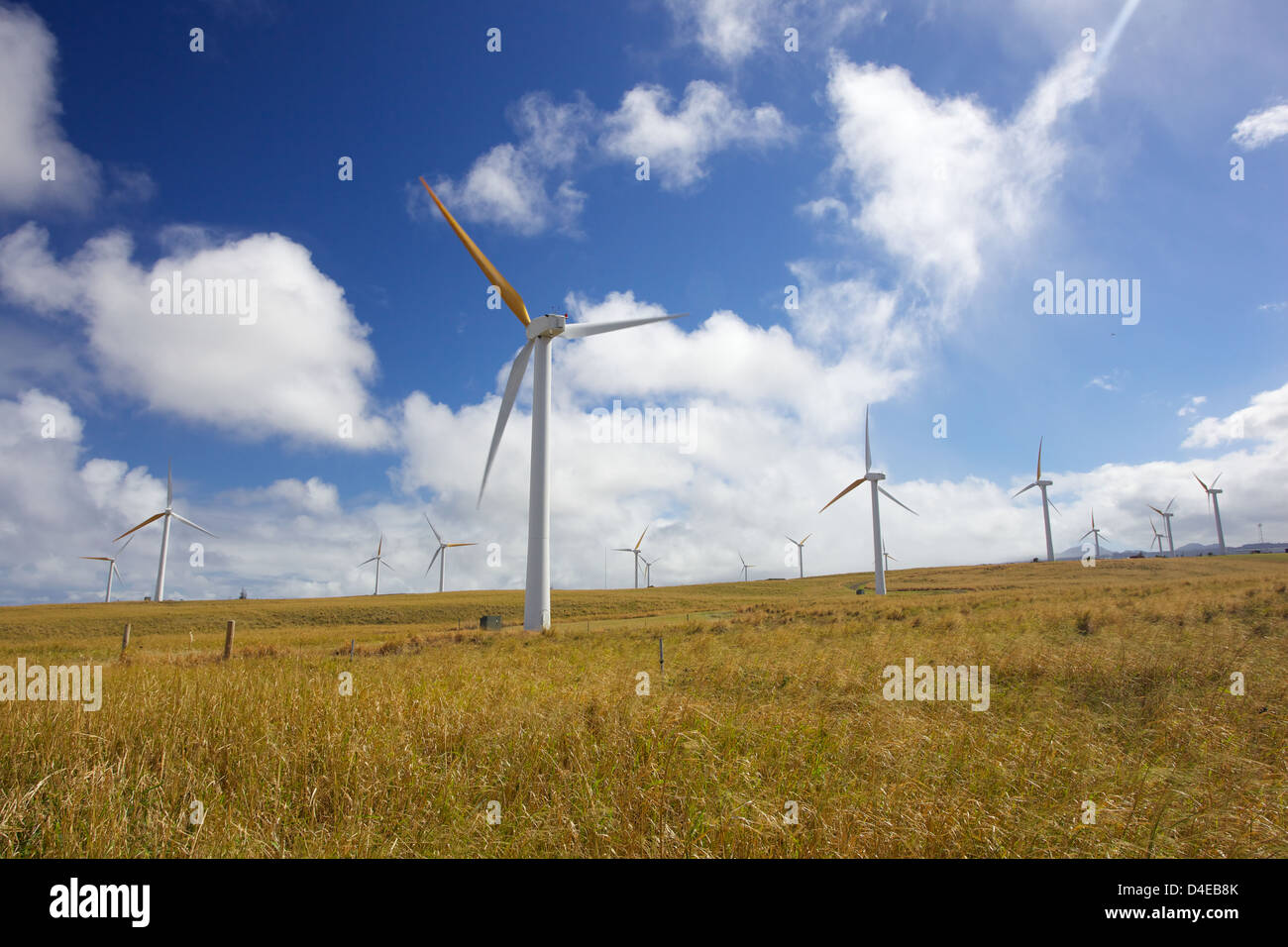Hawaii Wind Farm - Wind Turbine Generators in the town of Hawi in the ...
