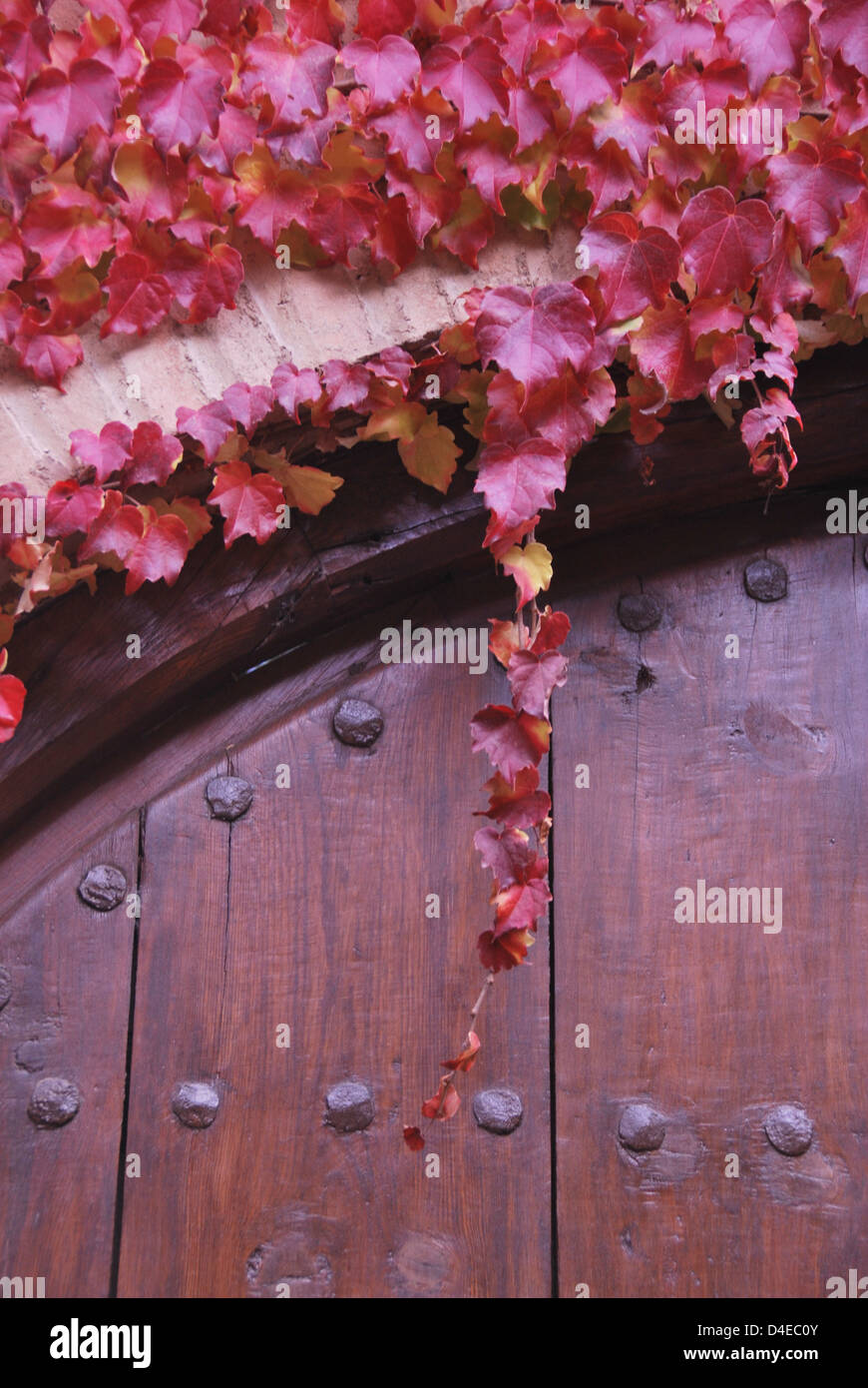 Fall colours over a wooden doorway at the Alhambra, a historic palace ...