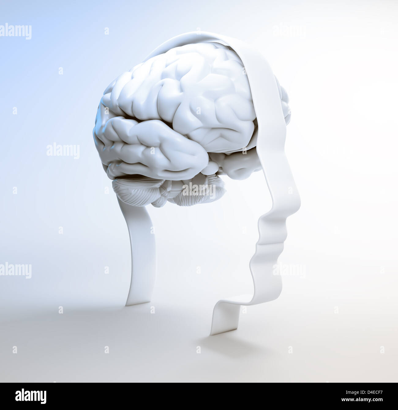 Human Intelligence or psychology concept illustration Stock Photo - Alamy