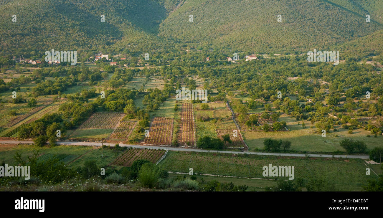 Croatian farmland hi-res stock photography and images - Alamy