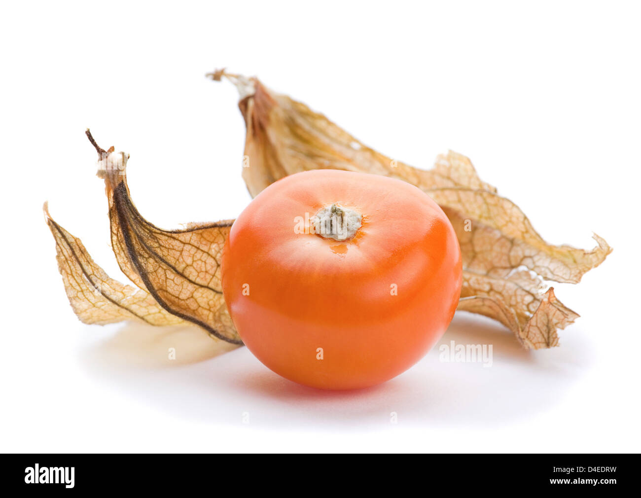 Physalis fruit closeup isolated on white Stock Photo - Alamy