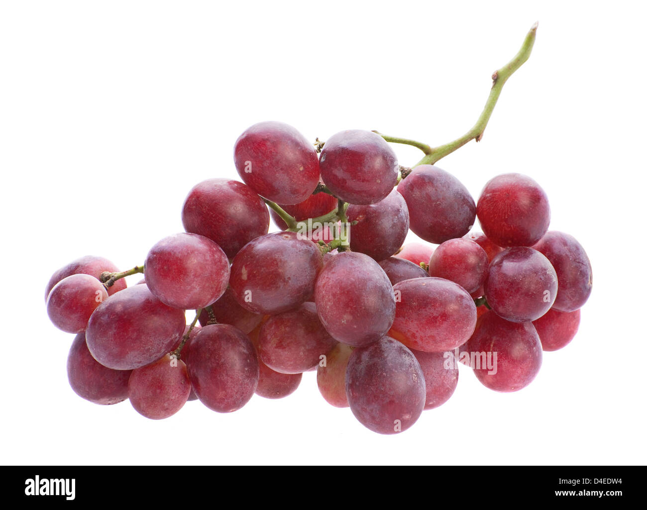 Red grape bunch isolated on white Stock Photo - Alamy