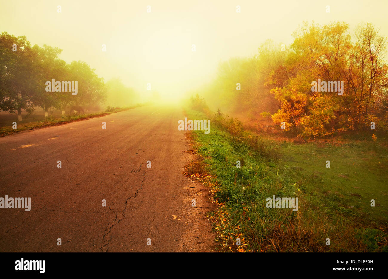 Morning autumn road in fog Stock Photo - Alamy