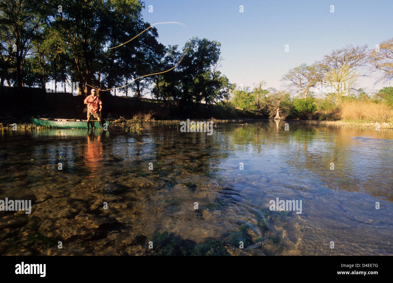 Man fly fishing for bass on the Blanco River Texas Stock Photo - Alamy