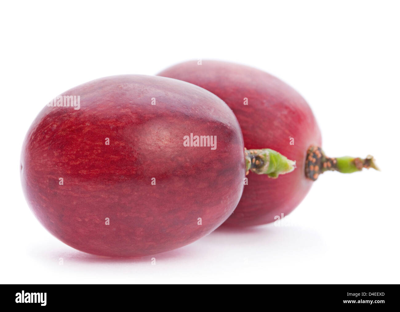 Grape berry closeup isolated on white Stock Photo - Alamy