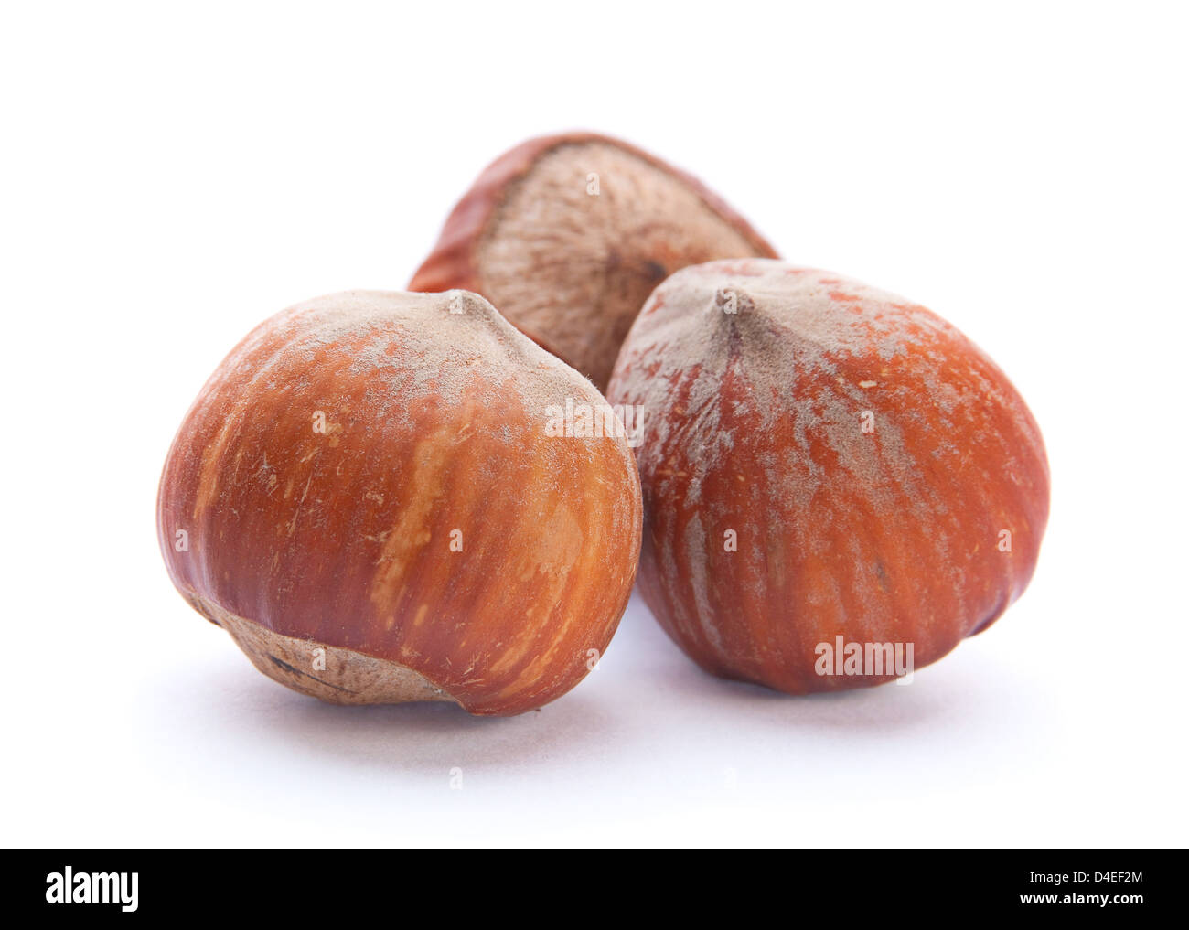Peel nut hi-res stock photography and images - Alamy