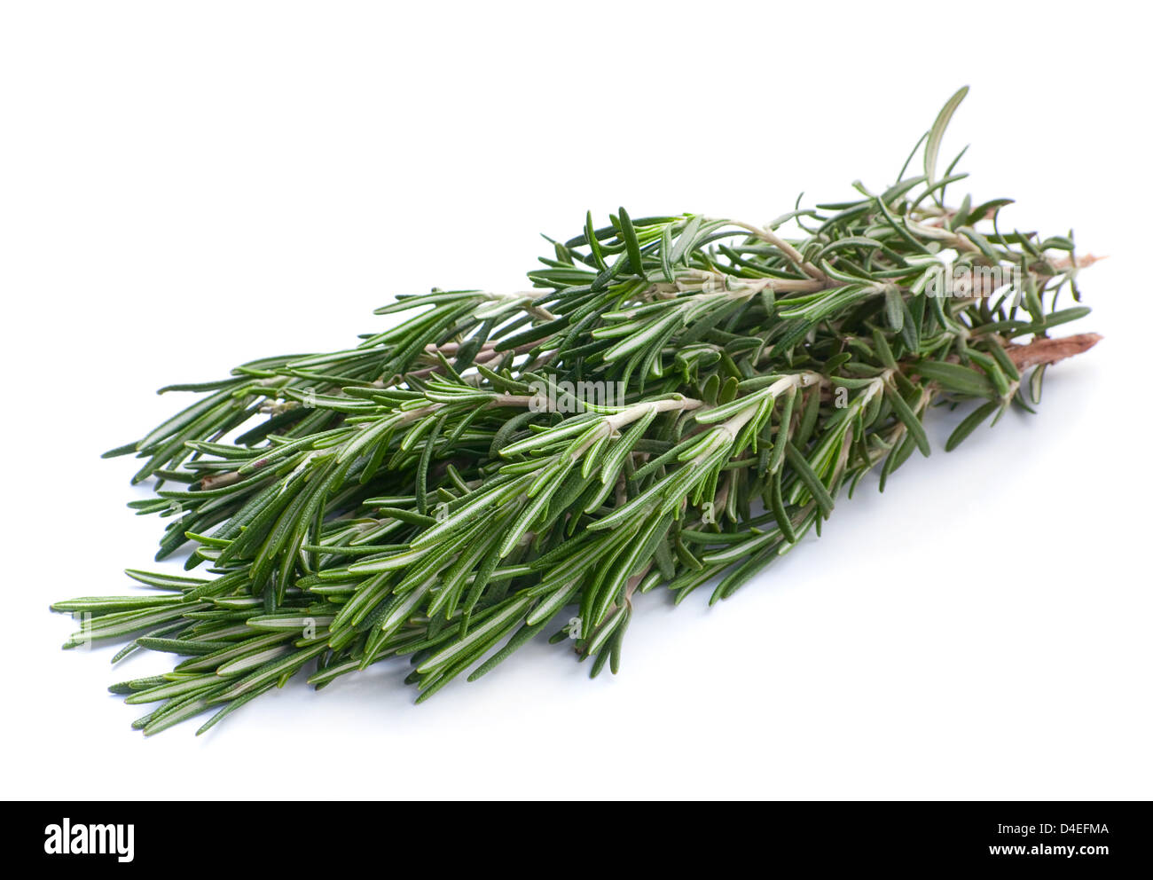 Rosemary herb hi-res stock photography and images - Alamy