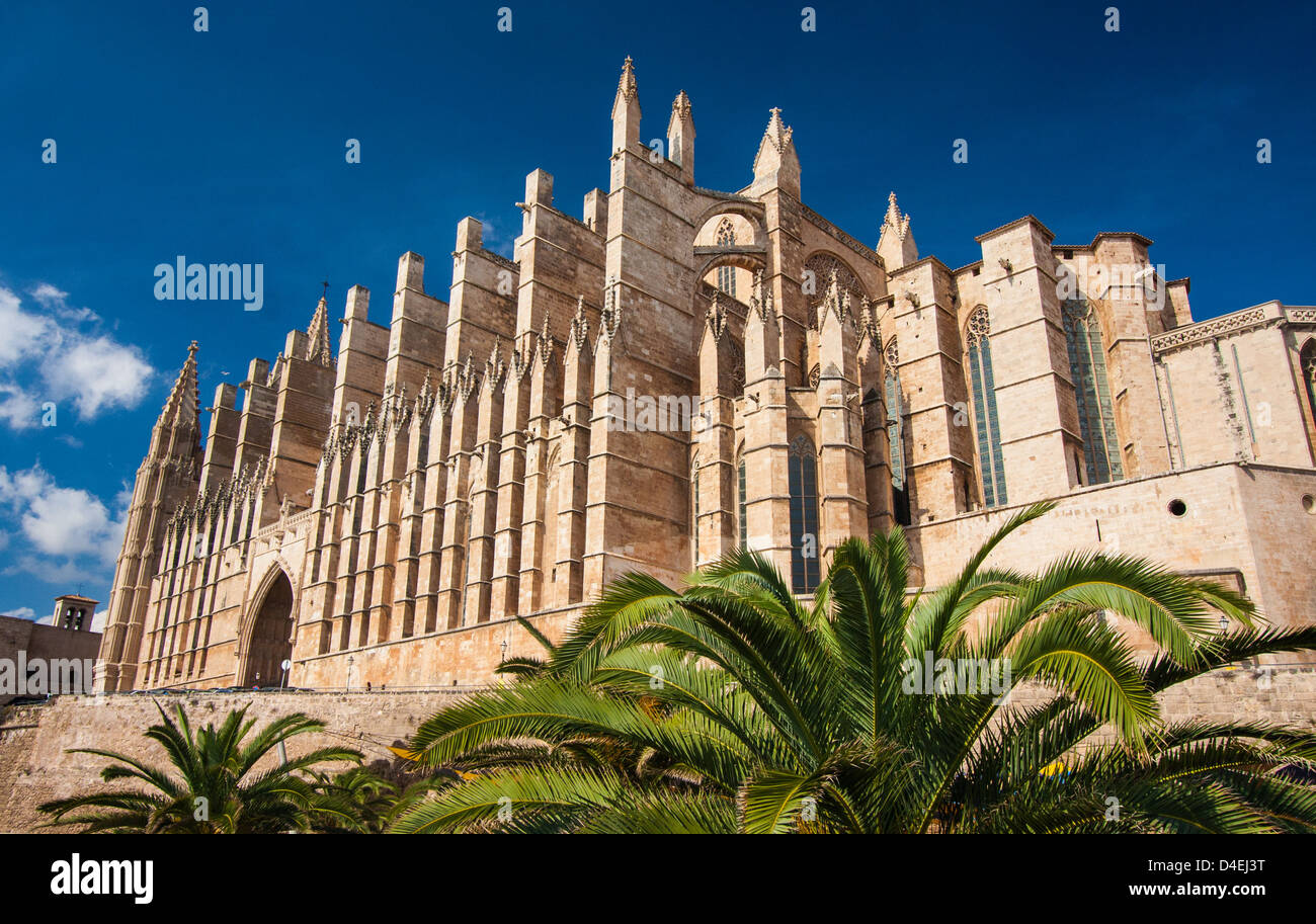 Palma de verano hi-res stock photography and images - Alamy