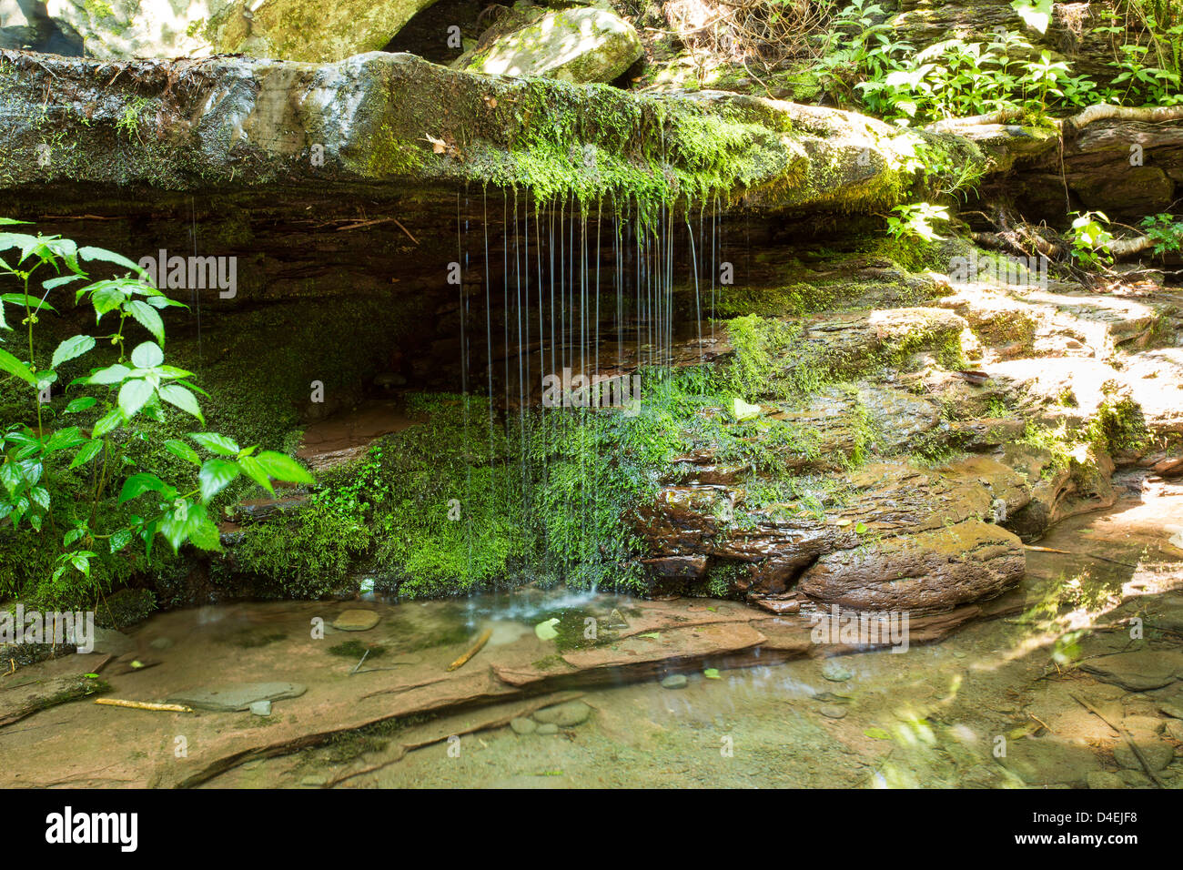 Water Dripping Rock High Resolution Stock Photography and Images - Alamy