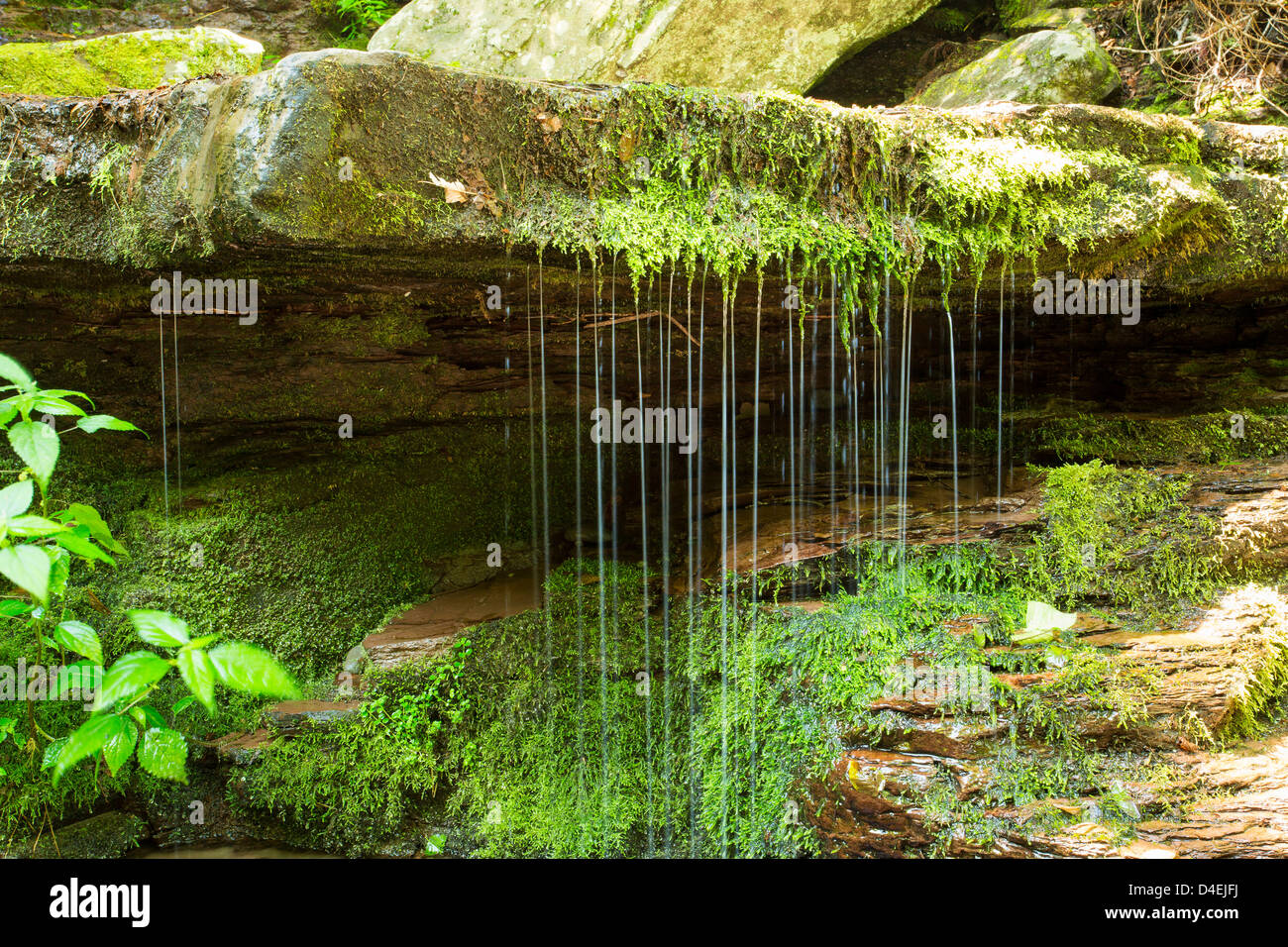 Diamond Falls in Catskill Mountain Region Stock Photo - Alamy