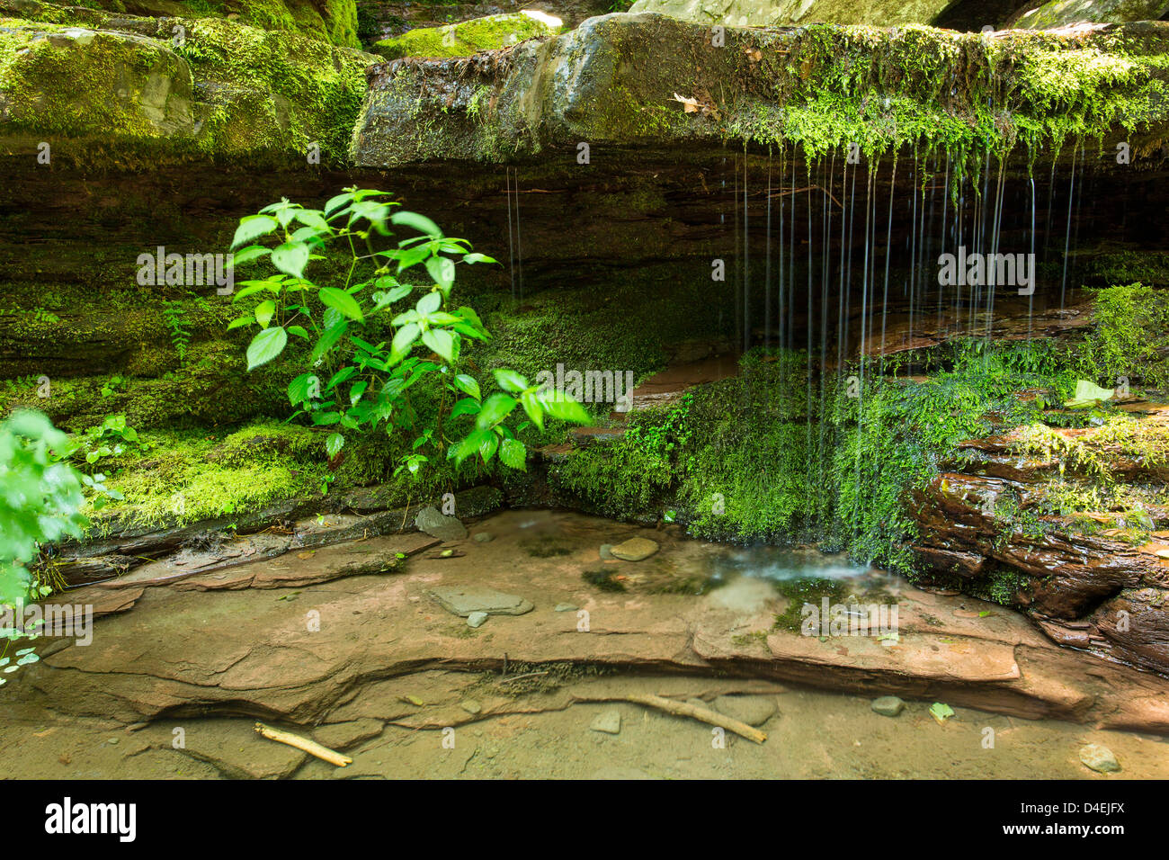 Diamond Falls in Catskill Mountain Region Stock Photo - Alamy