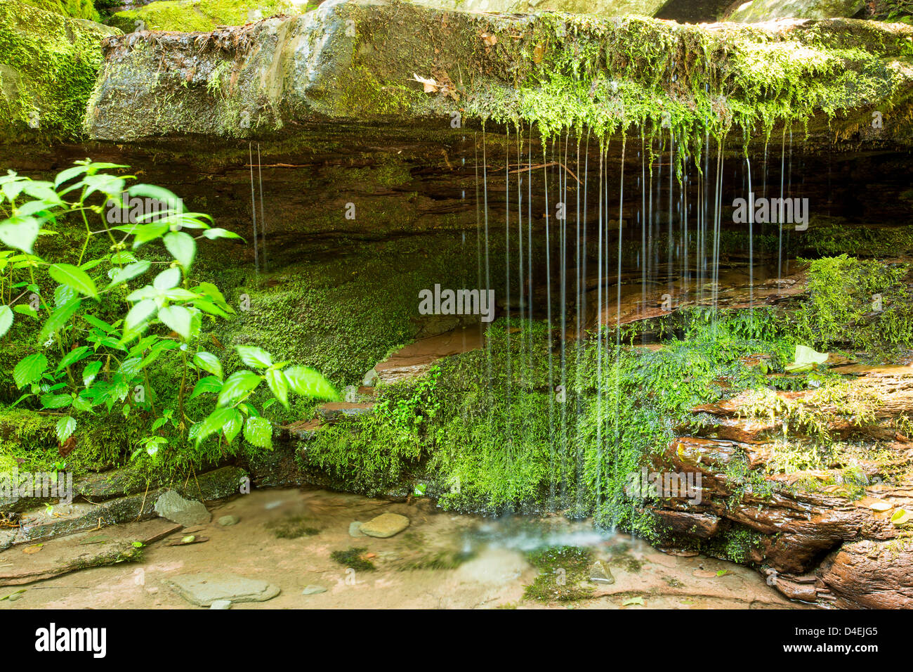 Diamond Falls in Catskill Mountain Region Stock Photo - Alamy