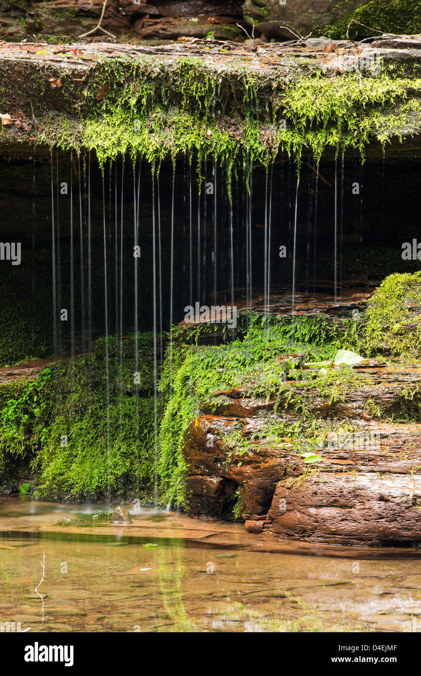 Diamond Falls in Catskill Mountain Region Stock Photo - Alamy