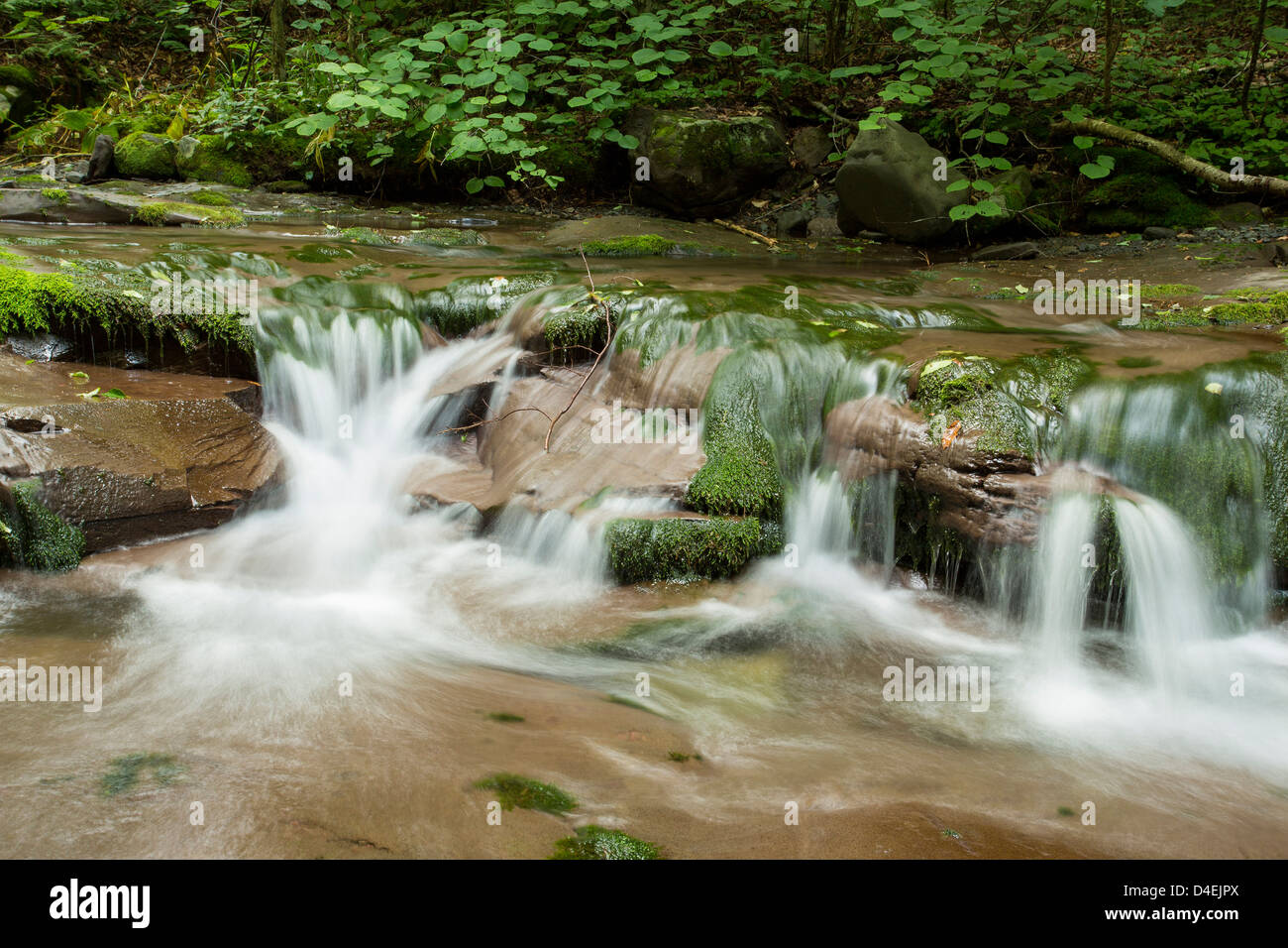 Waterfall in the Catskill Mountain Region Stock Photo - Alamy