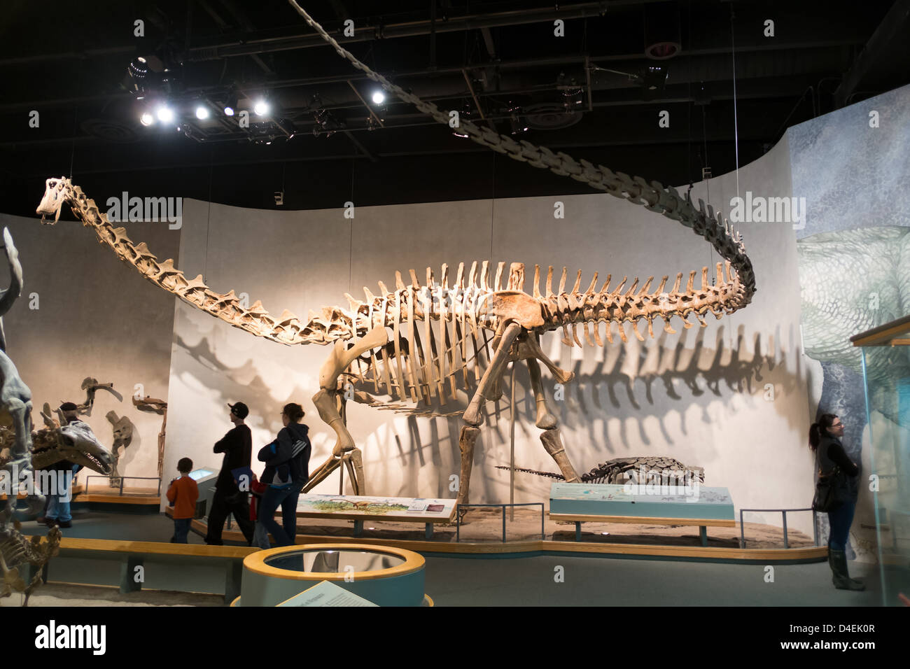 Denver's Museum of Nature and Science located at Denver's City Park ...