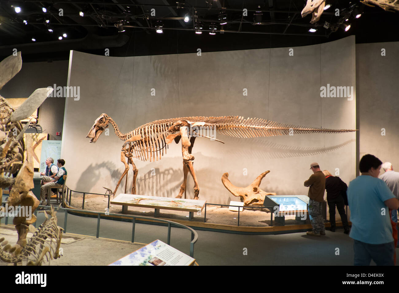 Denver's Museum of Nature and Science located at Denver's City Park ...