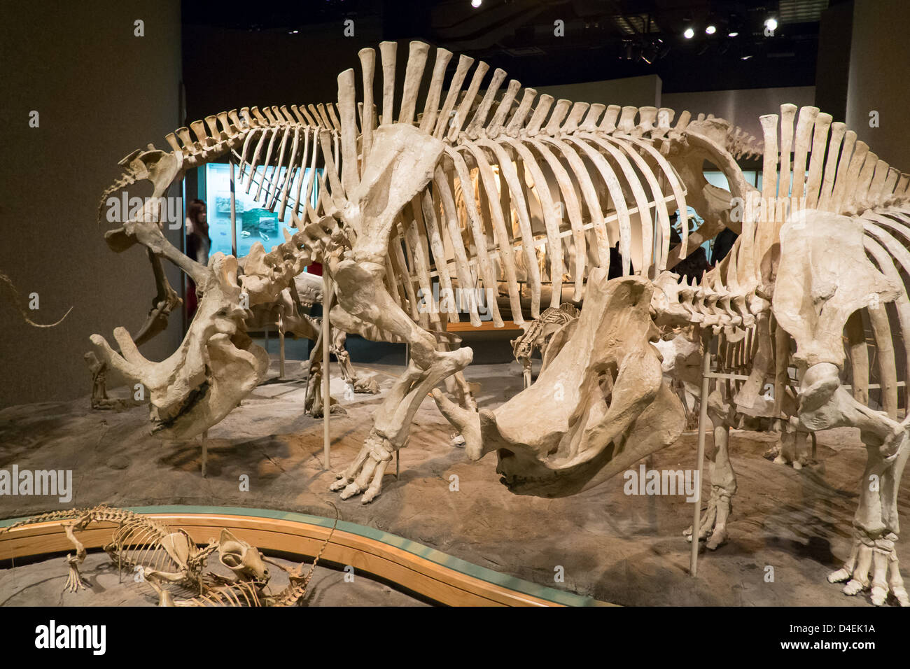 Denver's Museum of Nature and Science located at Denver's City Park ...