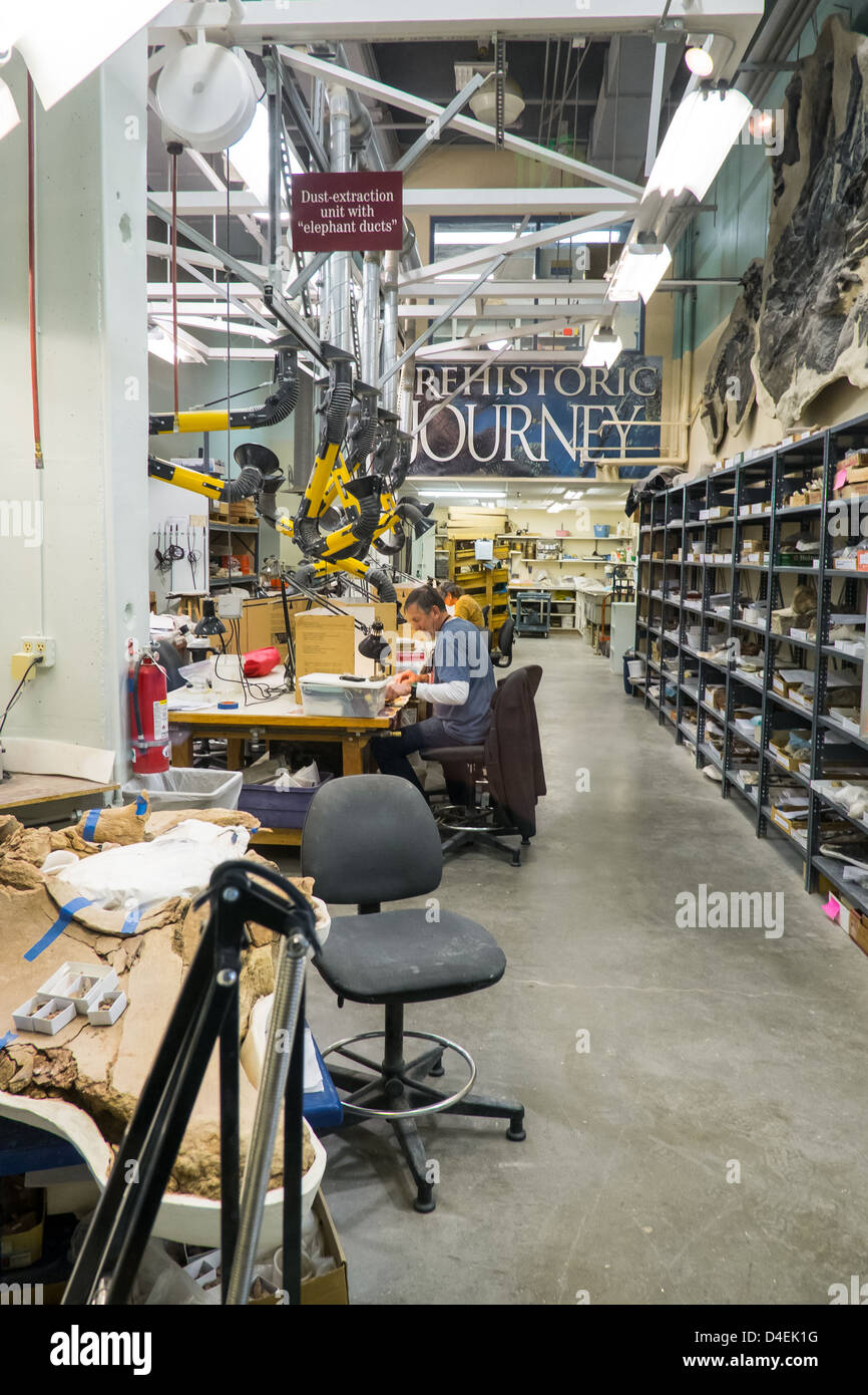Denver's Museum of Nature and Science located at Denver's City Park ...