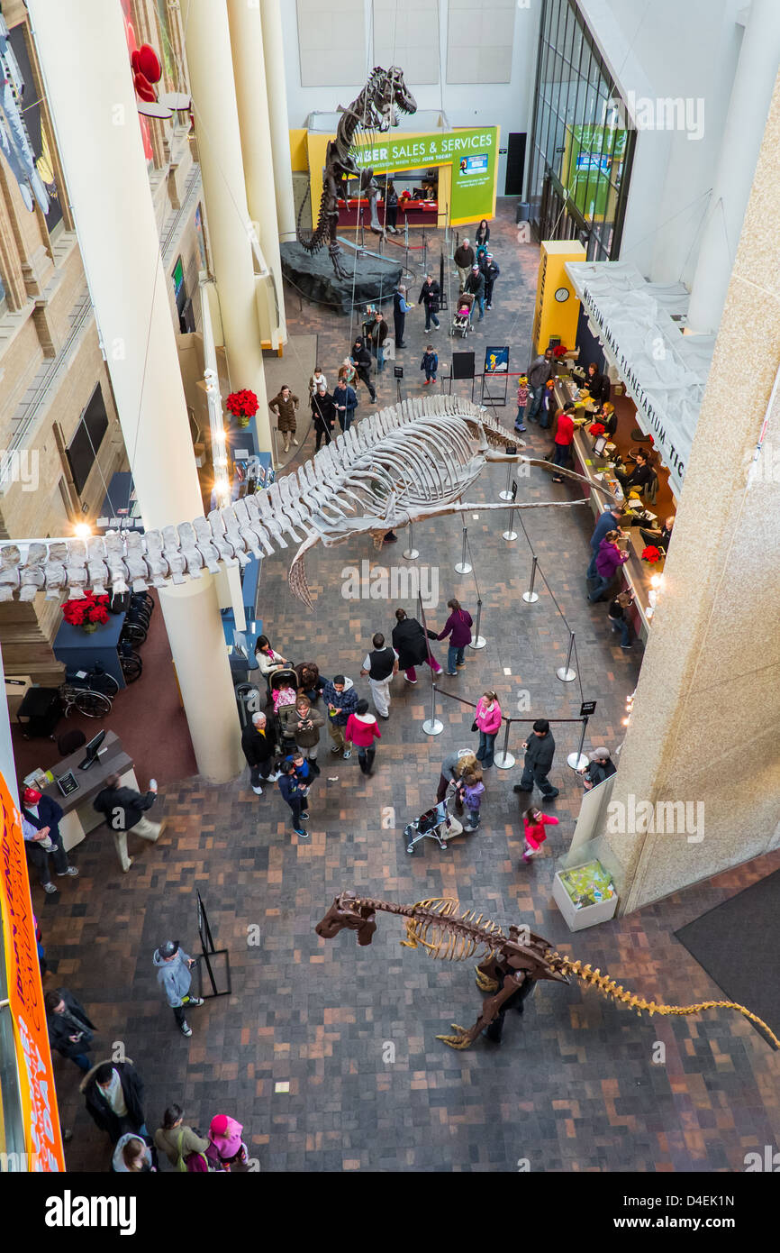 Denver's Museum of Nature and Science located at Denver's City Park ...