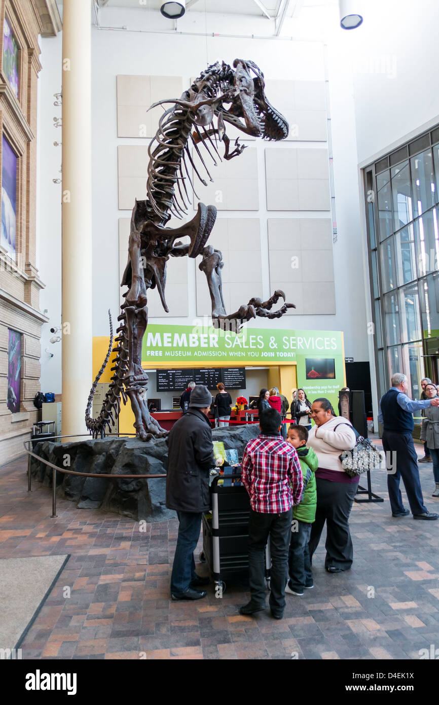 Denver's Museum of Nature and Science located at Denver's City Park ...