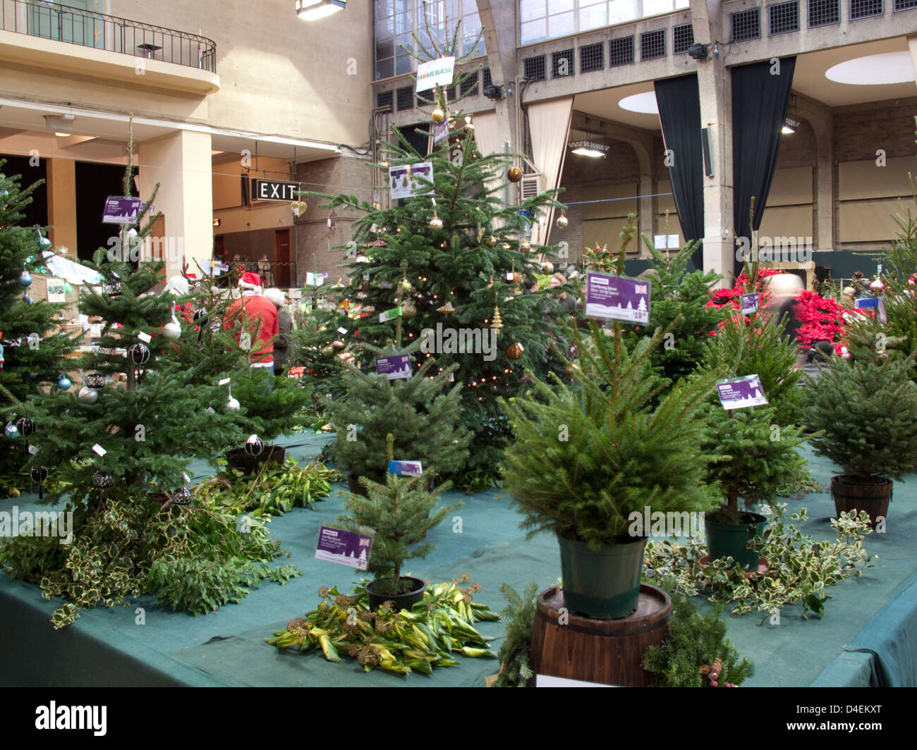 Horticultural displays hi-res stock photography and images - Alamy