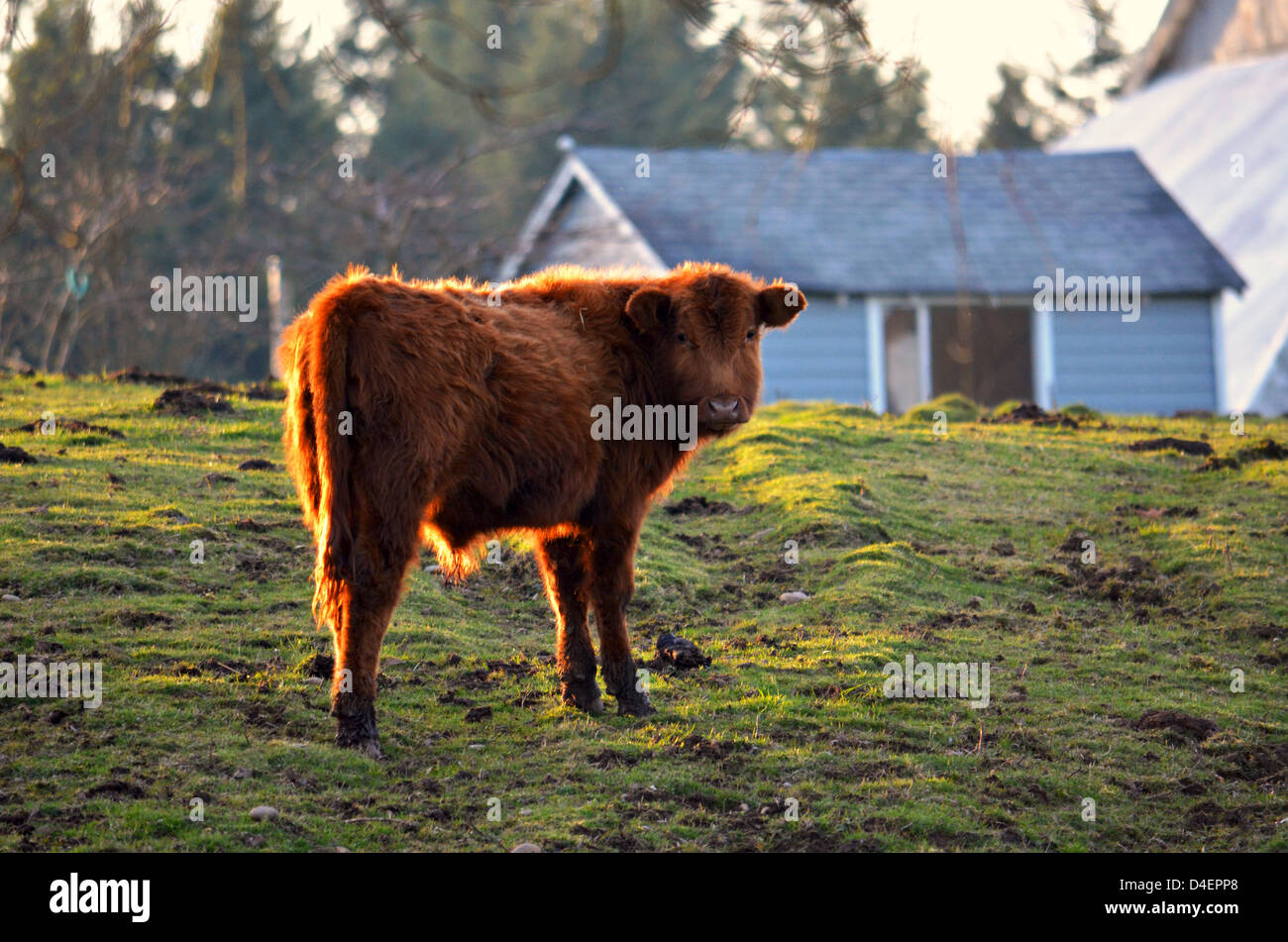 Rough farm terrain hi-res stock photography and images - Alamy