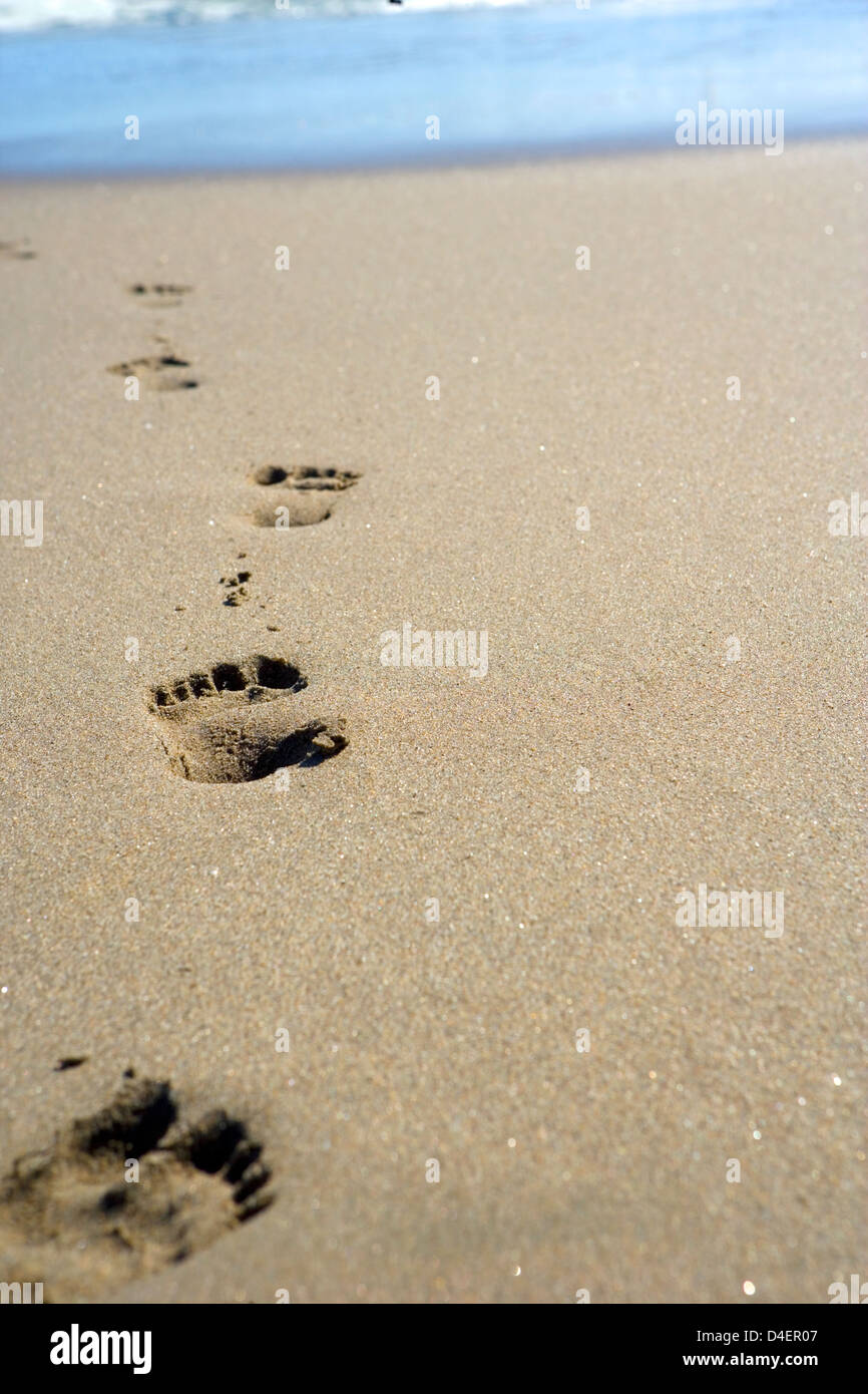 Footprint in the sand at the beach Stock Photo - Alamy