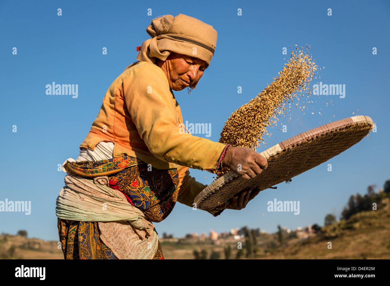 Winnowing hi-res stock photography and images - Alamy
