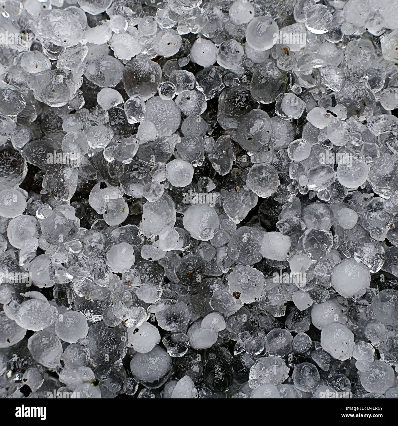 Hailstones closeup background Stock Photo - Alamy