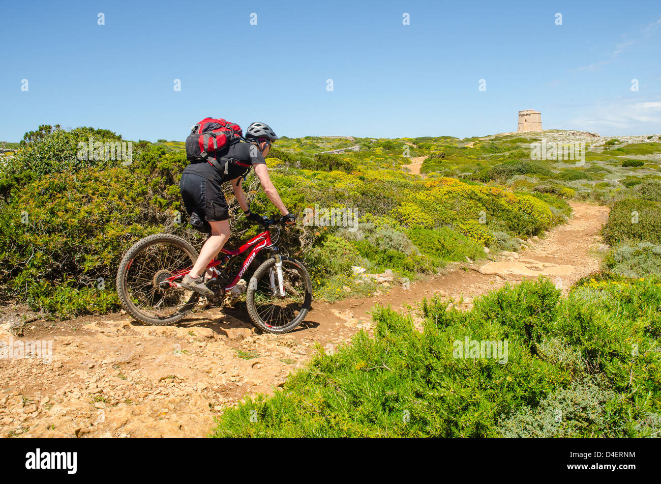 Coastal landscape cami de cavalls hi-res stock photography and images ...