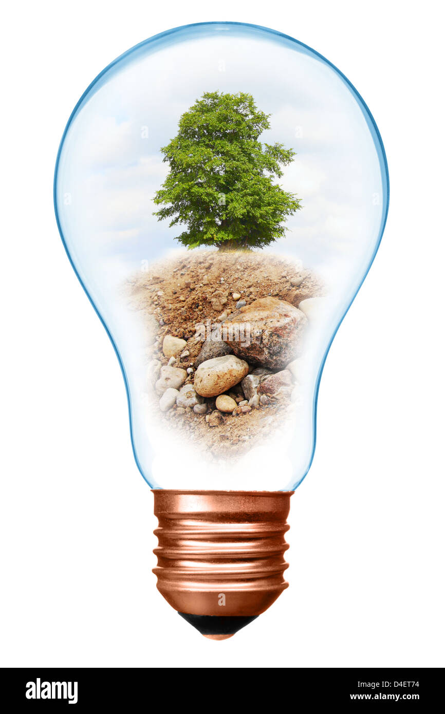 Tree in an bulb as a symbol of necessity of environment protection ...