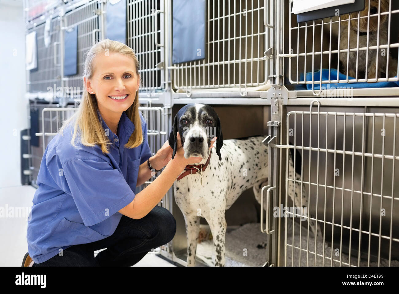 Dog placement hi-res stock photography and images - Alamy