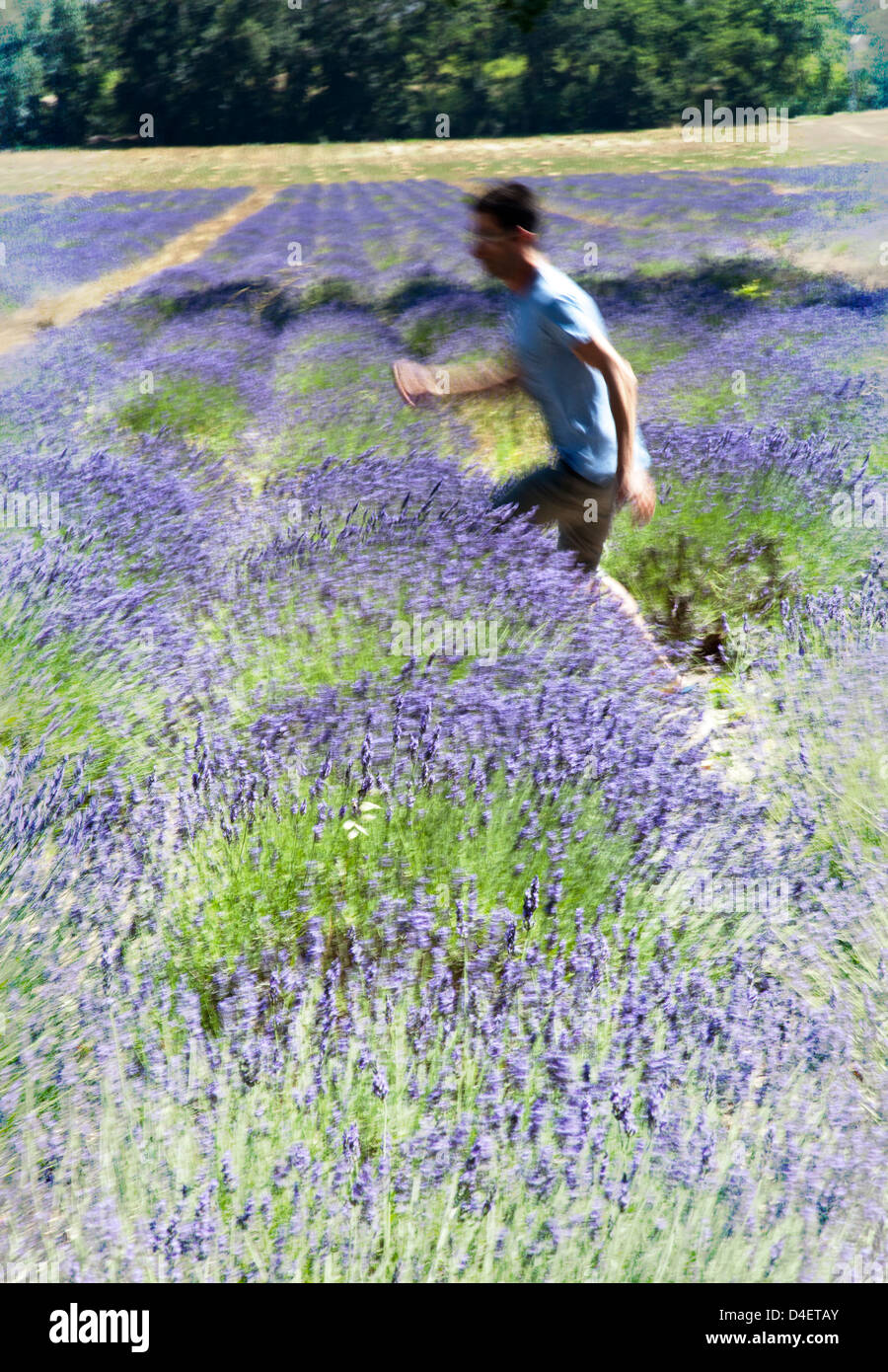 Man running through field hi-res stock photography and images - Alamy