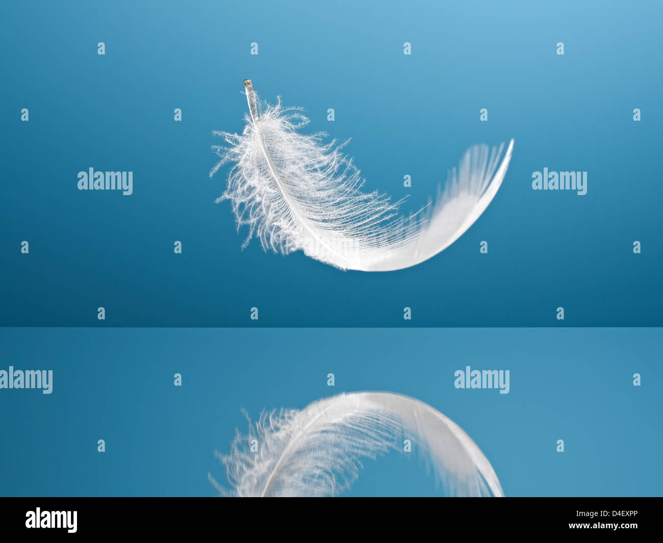 Feather floating over reflective surface Stock Photo - Alamy
