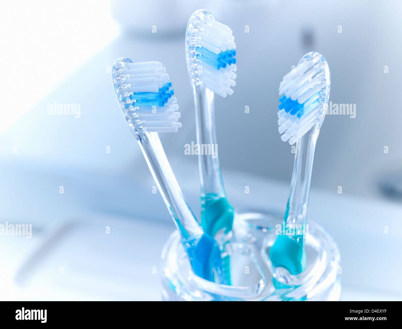 Toothbrush holder hi-res stock photography and images - Alamy