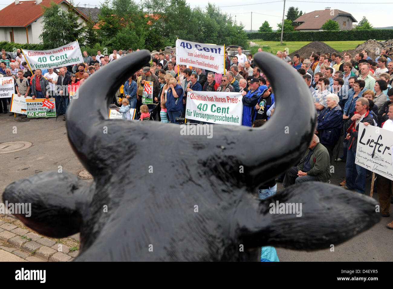 Dairy farmers protest in Auw, Germany, 27 May 2008. German dairy ...