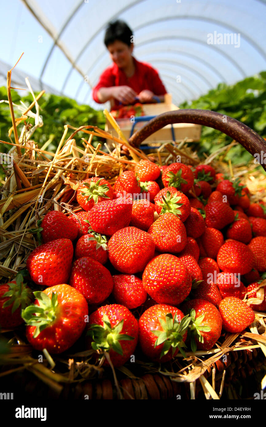 Jolanta hi-res stock photography and images - Alamy