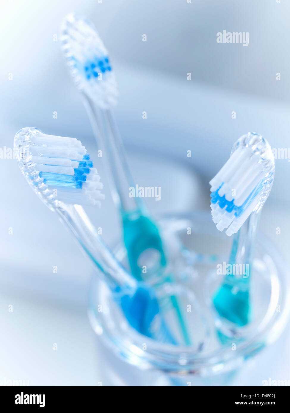 Three toothbrushes in glass hi-res stock photography and images - Alamy