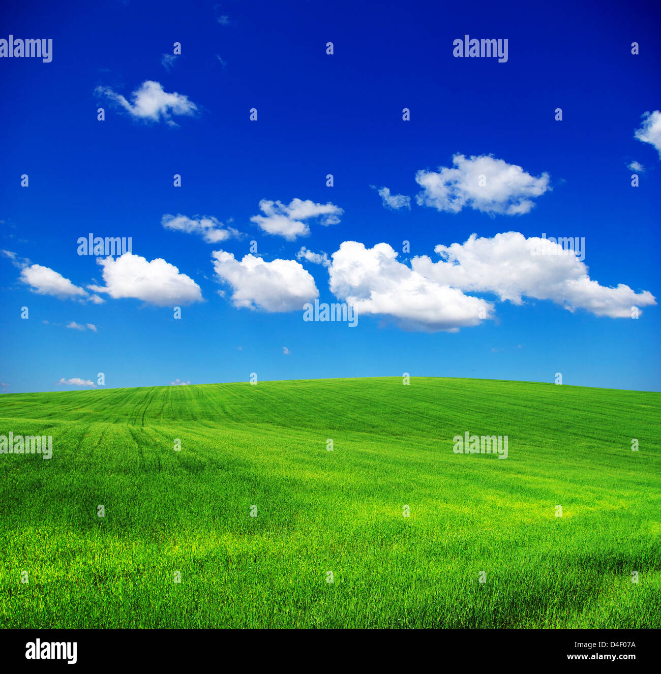 green field and blue sky Stock Photo - Alamy