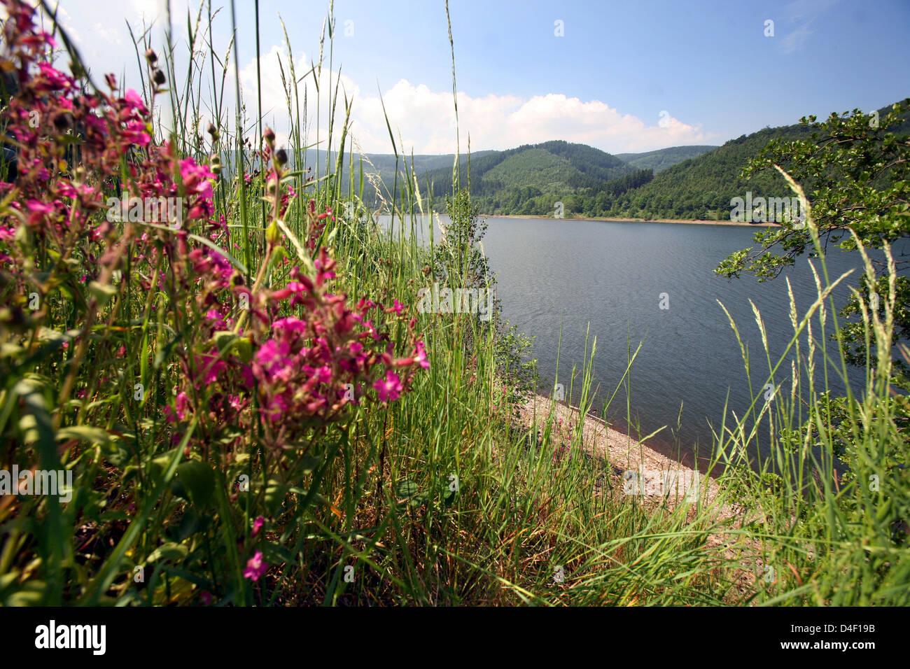 The picture shows the reservoir of Innerste dam at mountain range Harz ...