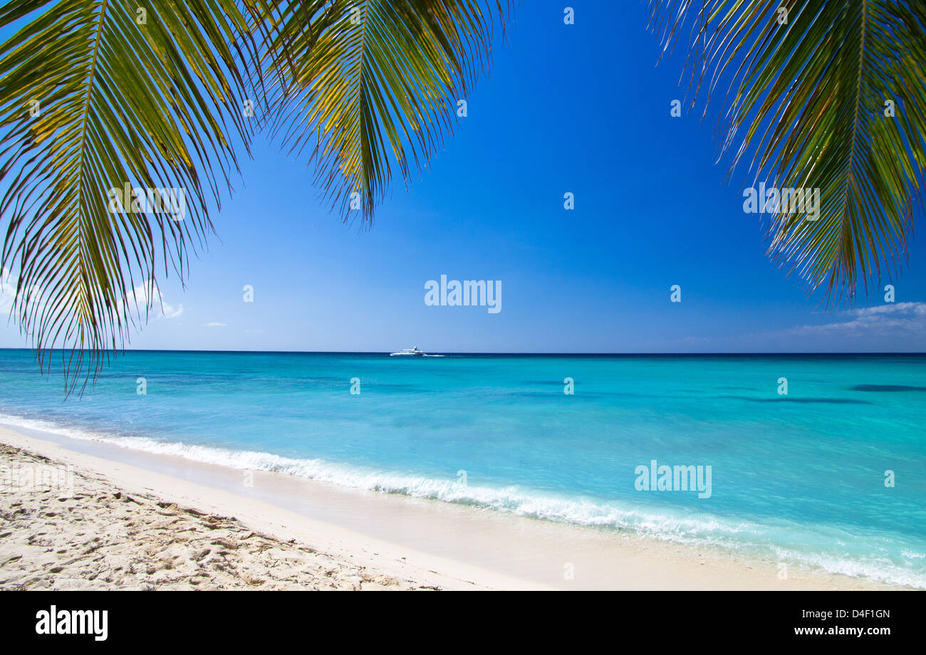 tropical sea under the blue sky Stock Photo - Alamy