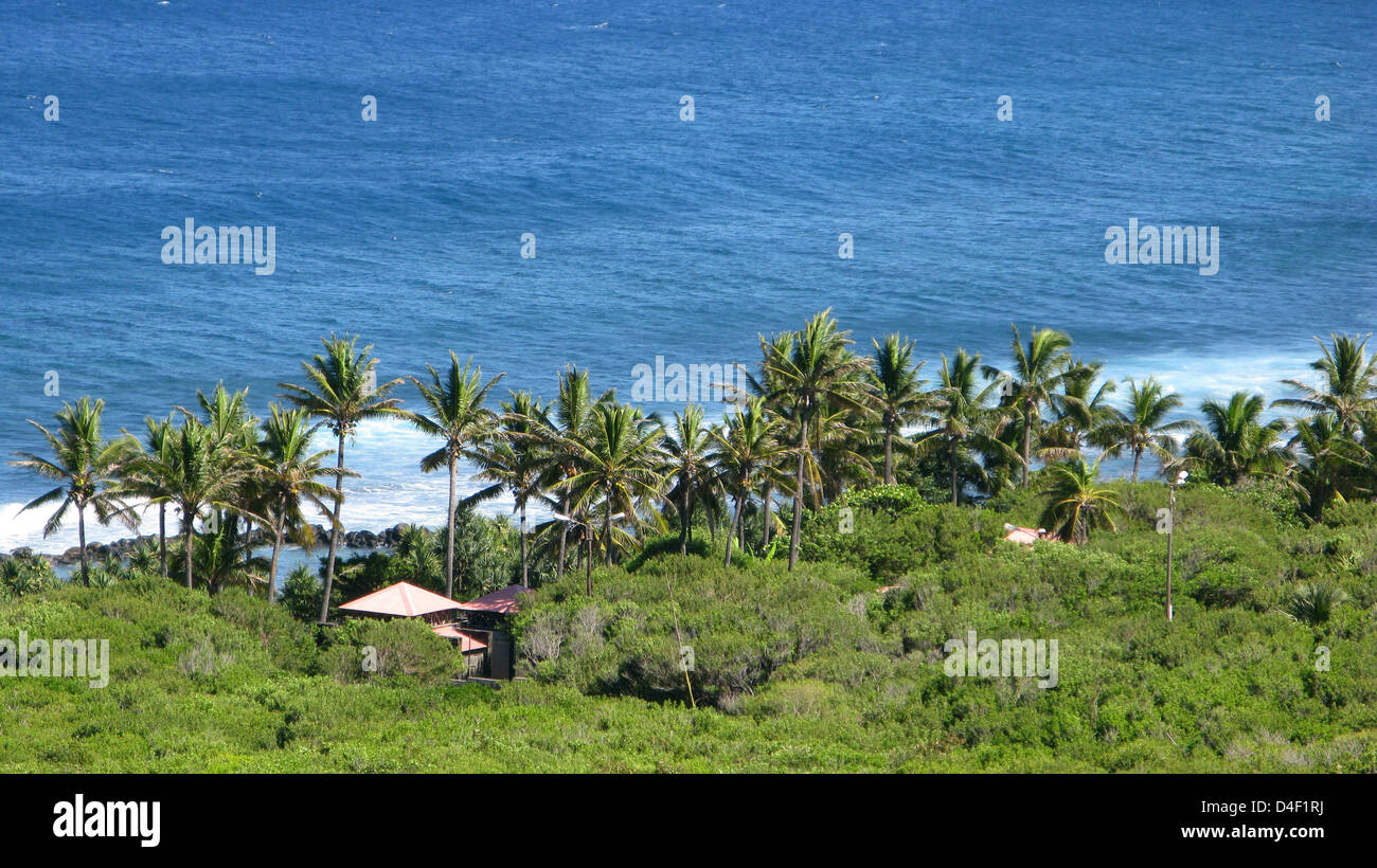 Renunion hi-res stock photography and images - Alamy