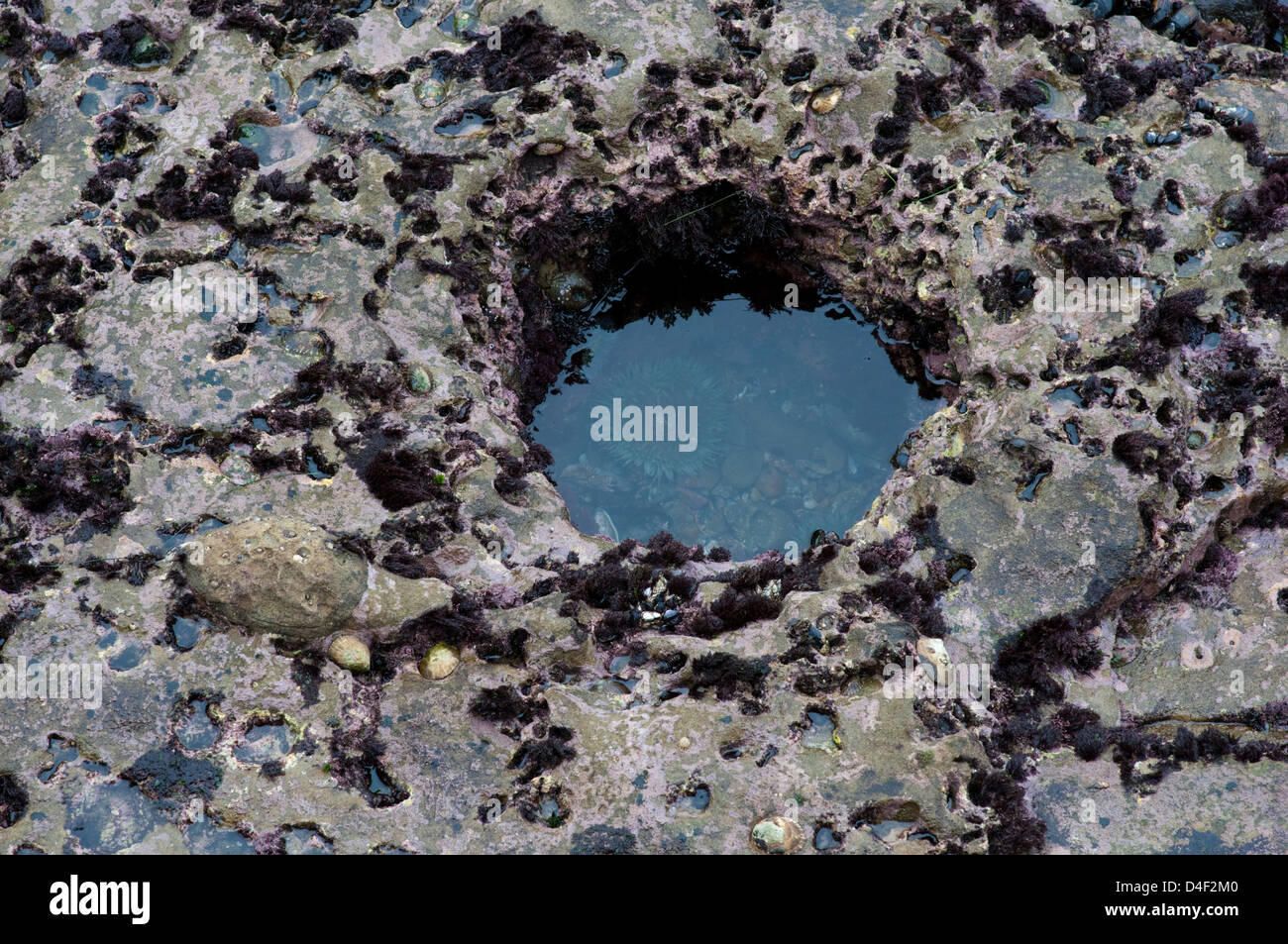 Round hole hi-res stock photography and images - Alamy