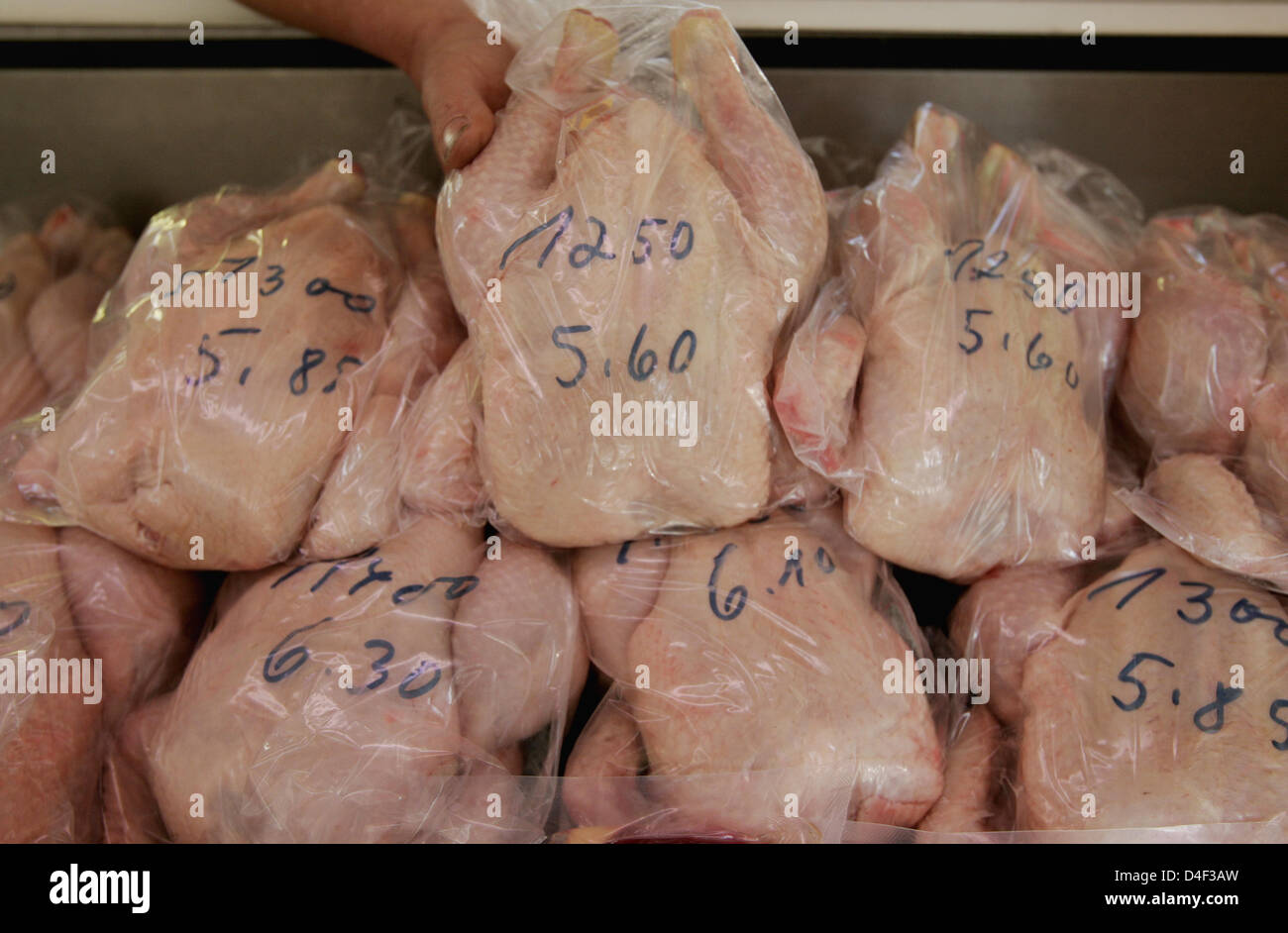 Fresh chicken packed in plastic bags and labelled with indications of ...